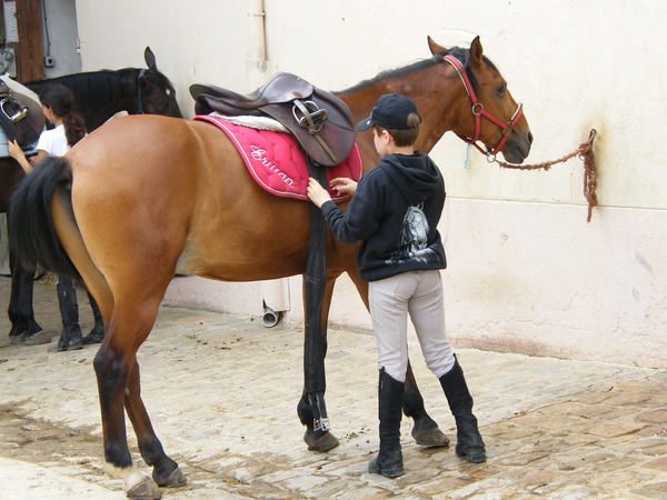 La Sapinière - La préparation de son cheval ou de son poney