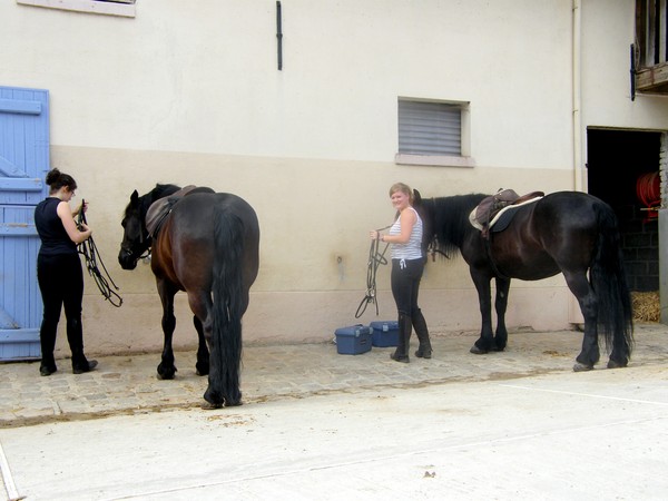 La Sapinière - La préparation de son cheval ou de son poney